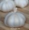 Garlic (Allium Sativum) or Bawang in Tagalog » Yummy Food Ph