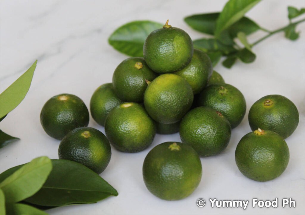 Calamansi or Calamondin (Citrfortunella Microcarpa)